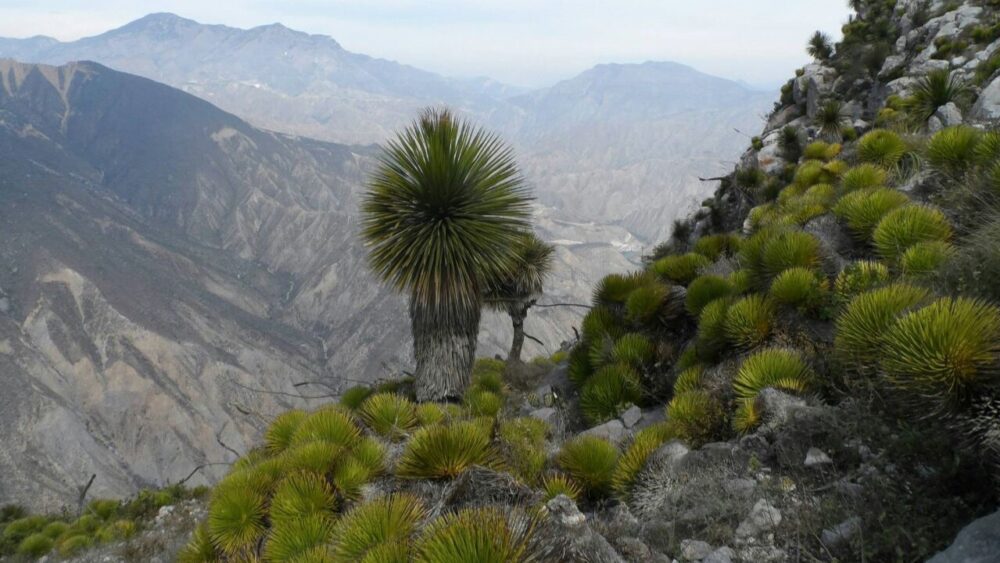 Parque Nacional los Mármoles - Escapadas por México Desconocido