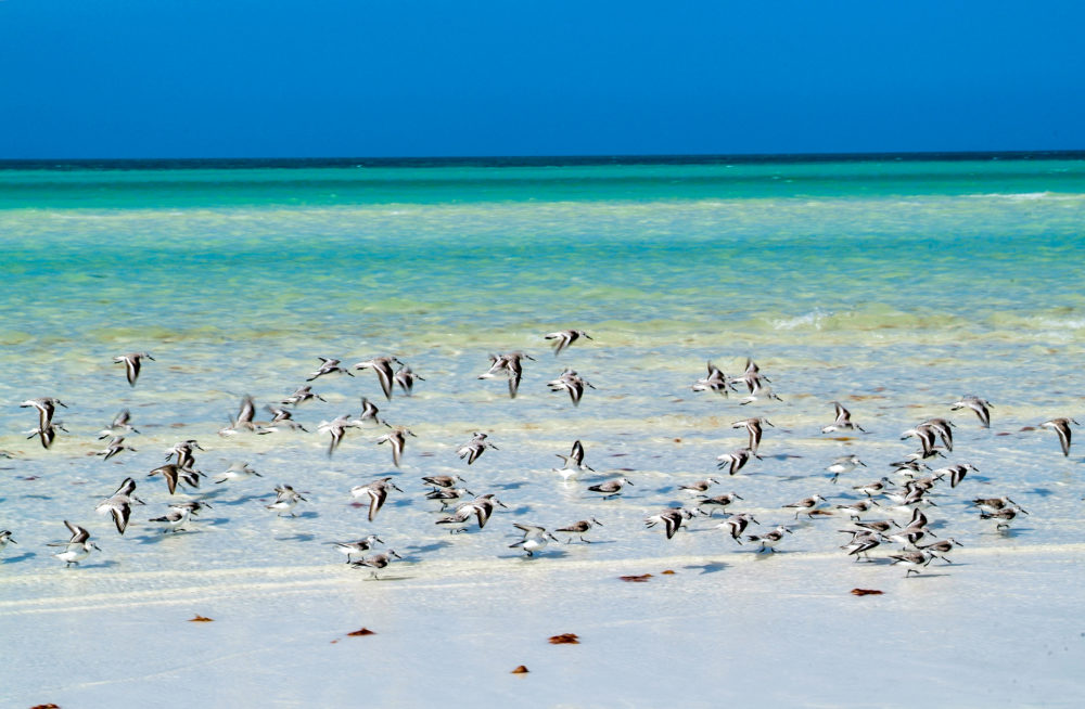 Playa Punta Cocos - Escapadas por México Desconocido