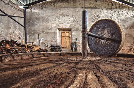 Conoce el proceso del mezcal - Escapadas por México Desconocido