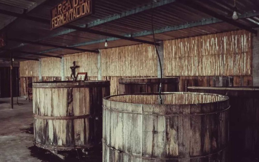 Mezcal Ancestral Palenque el Doctor - Escapadas por México Desconocido