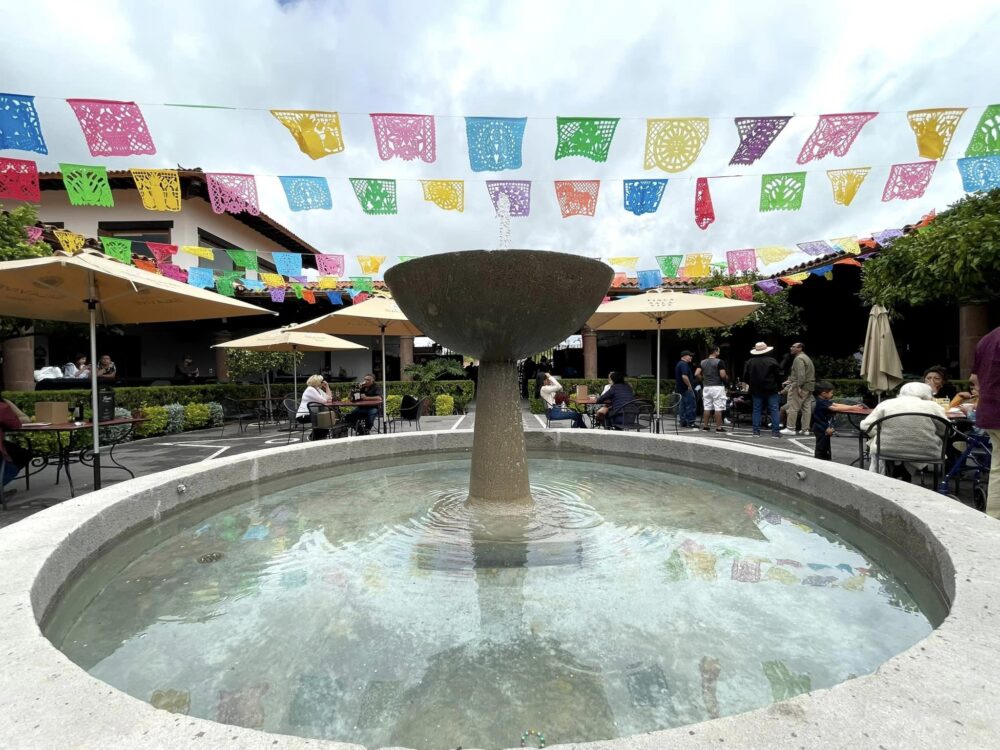 Conoce Freixenet México, la bodega de vino espumoso más grande en ...