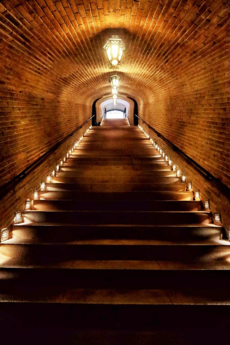 Conoce Freixenet México, la bodega de vino espumoso más grande en ...