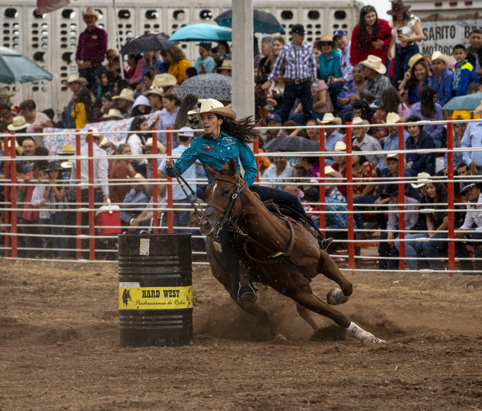 ¡Asiste al Circuito de Rodeo en Hermosillo, Sonora! - Escapadas por ...