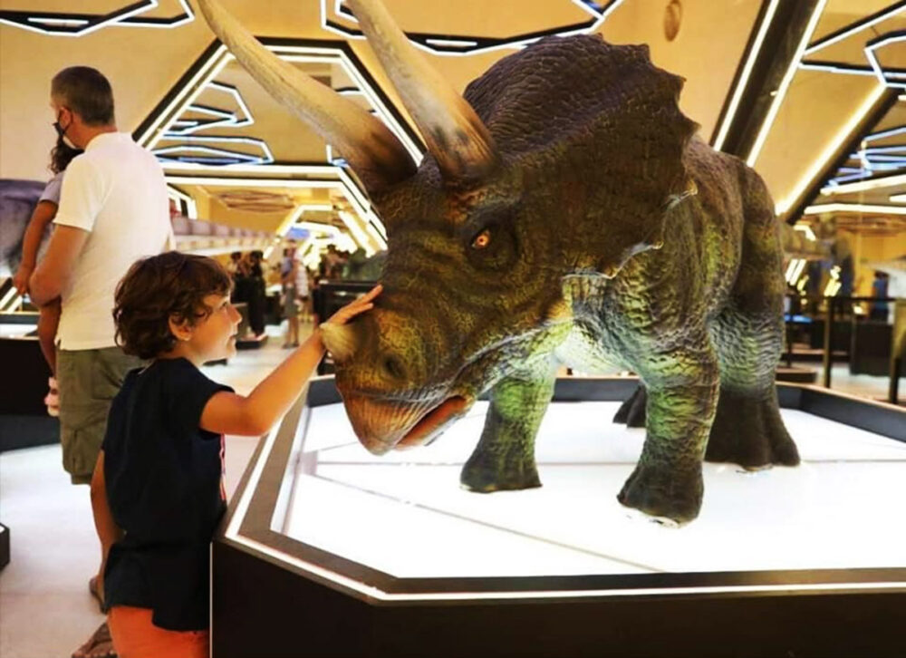 Museo del Meteorito - Escapadas por México Desconocido