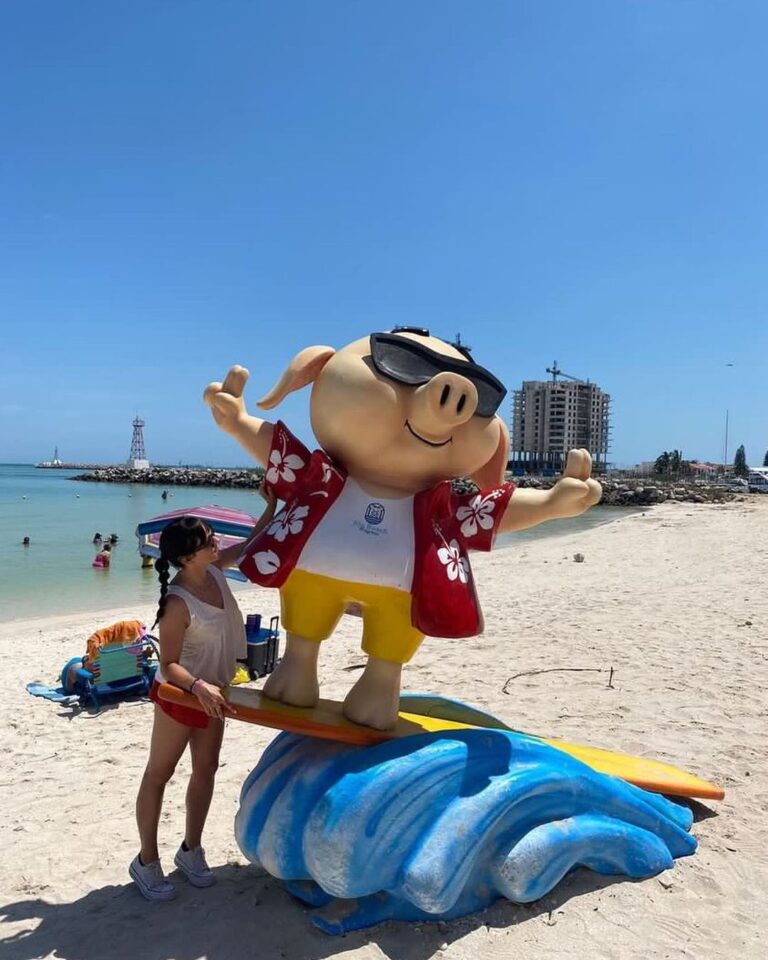 Pig Beach Progreso, la villa de cerditos playeros - Escapadas por ...