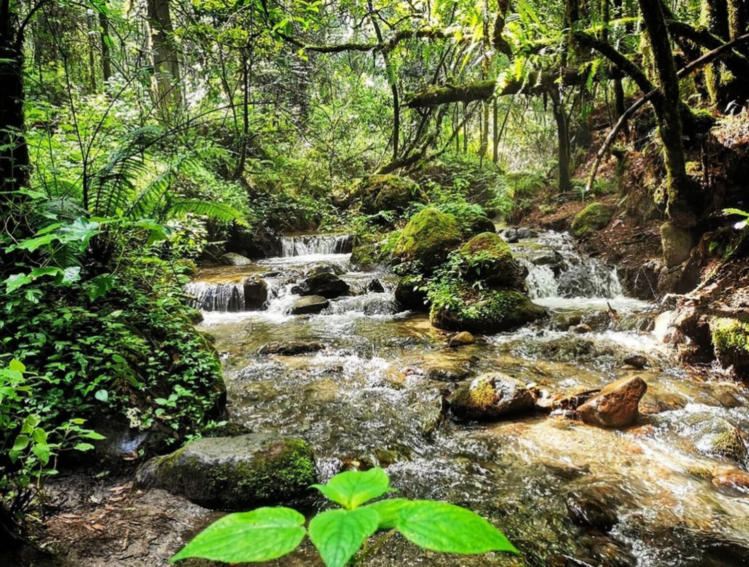 Cascada de la Burbuja - Escapadas por México Desconocido
