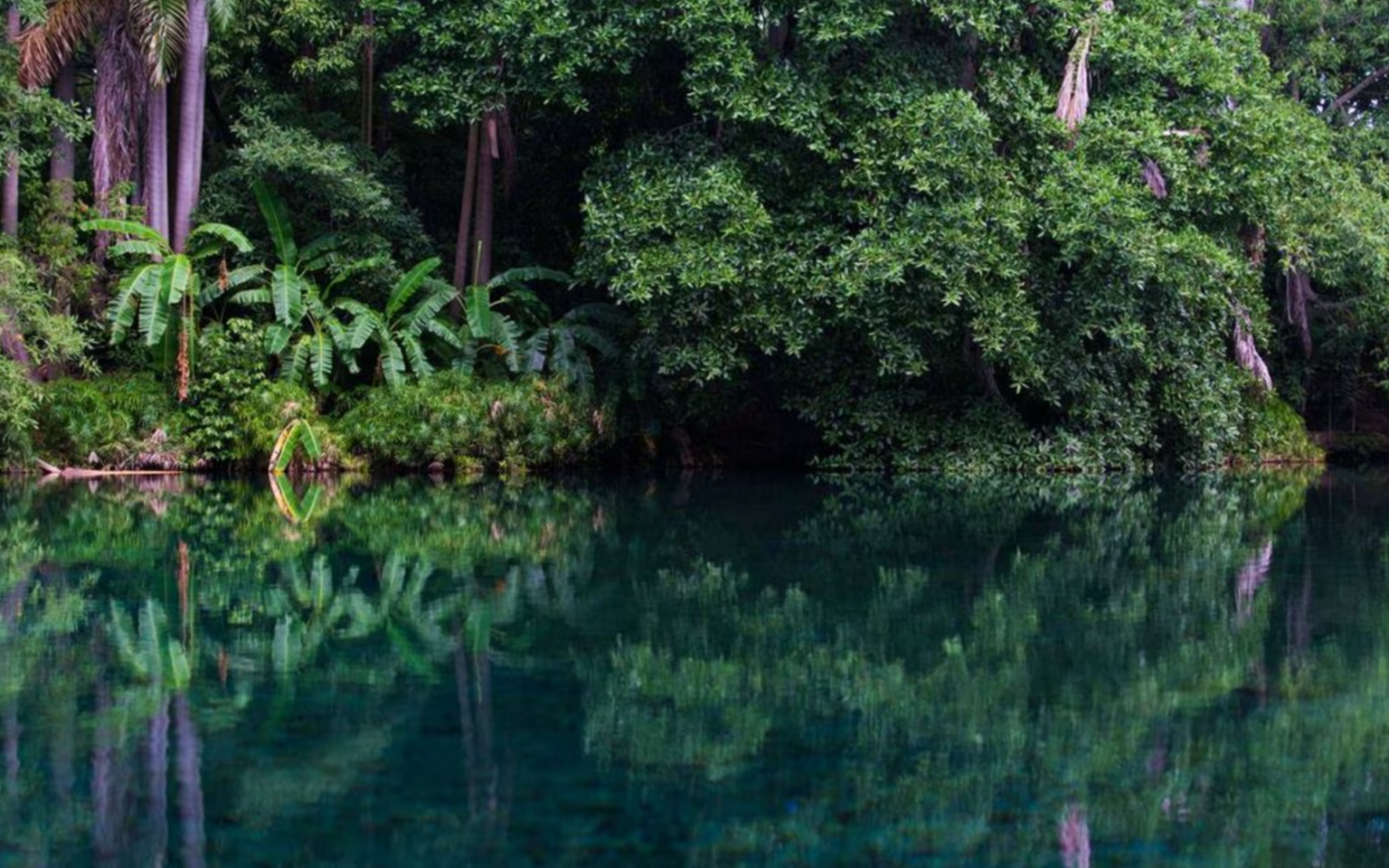 La Estacas, un parque natural y ecoturístico en Morelos - Escapadas por ...