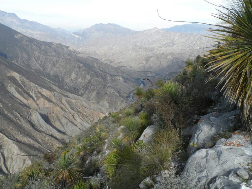 Parque Nacional los Mármoles - Escapadas por México Desconocido