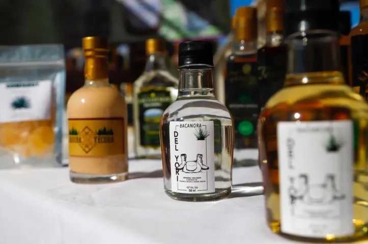 Festival del Bacanora - Escapadas por México Desconocido