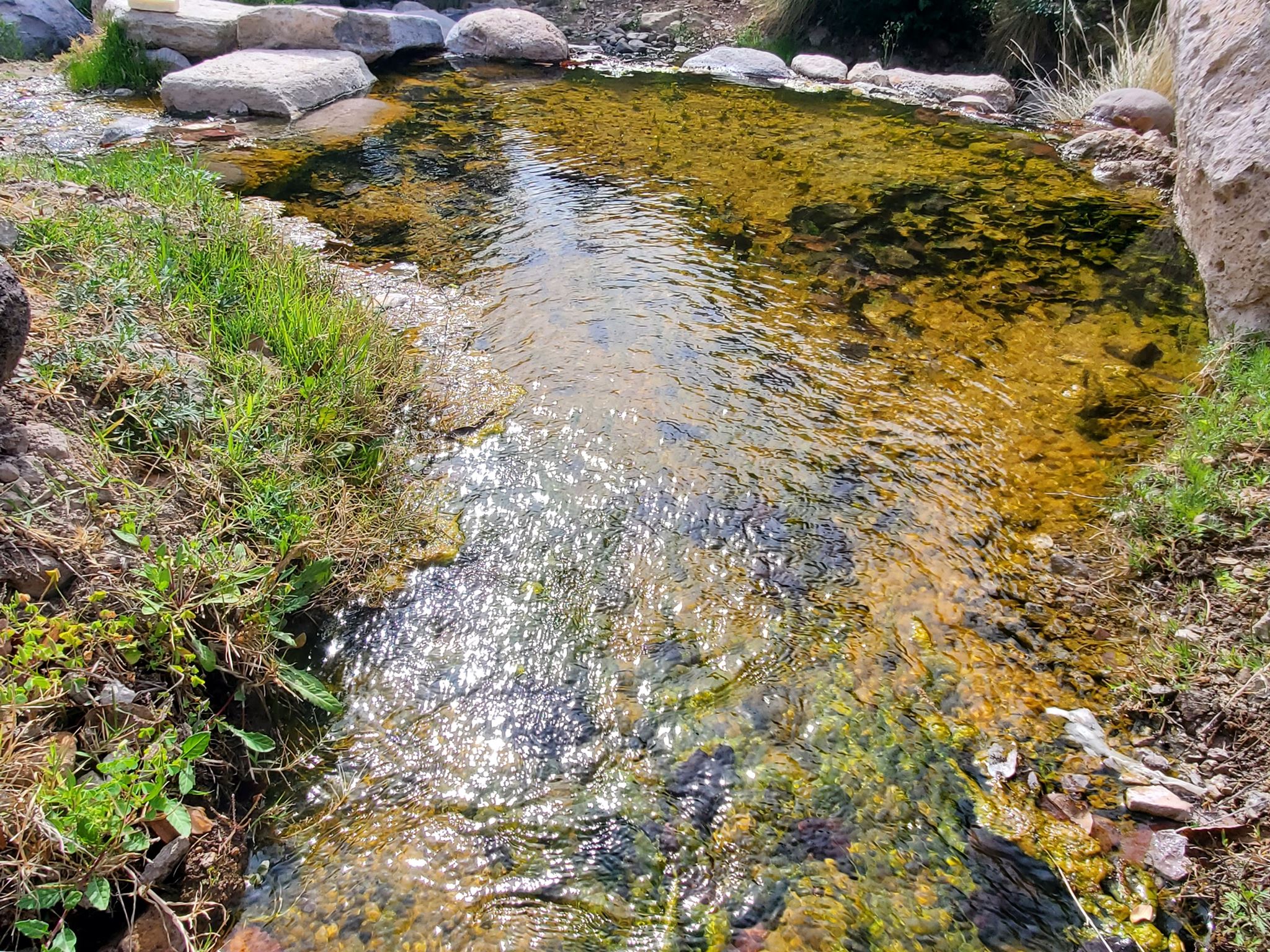 Consiéntete en Agua Caliente - Escapadas por México Desconocido