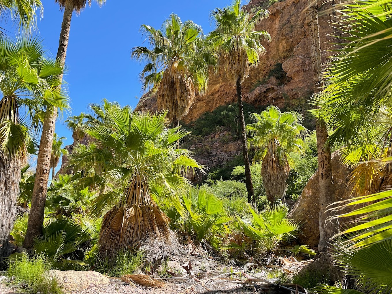 Cañón del Nacapule - Escapadas por México Desconocido