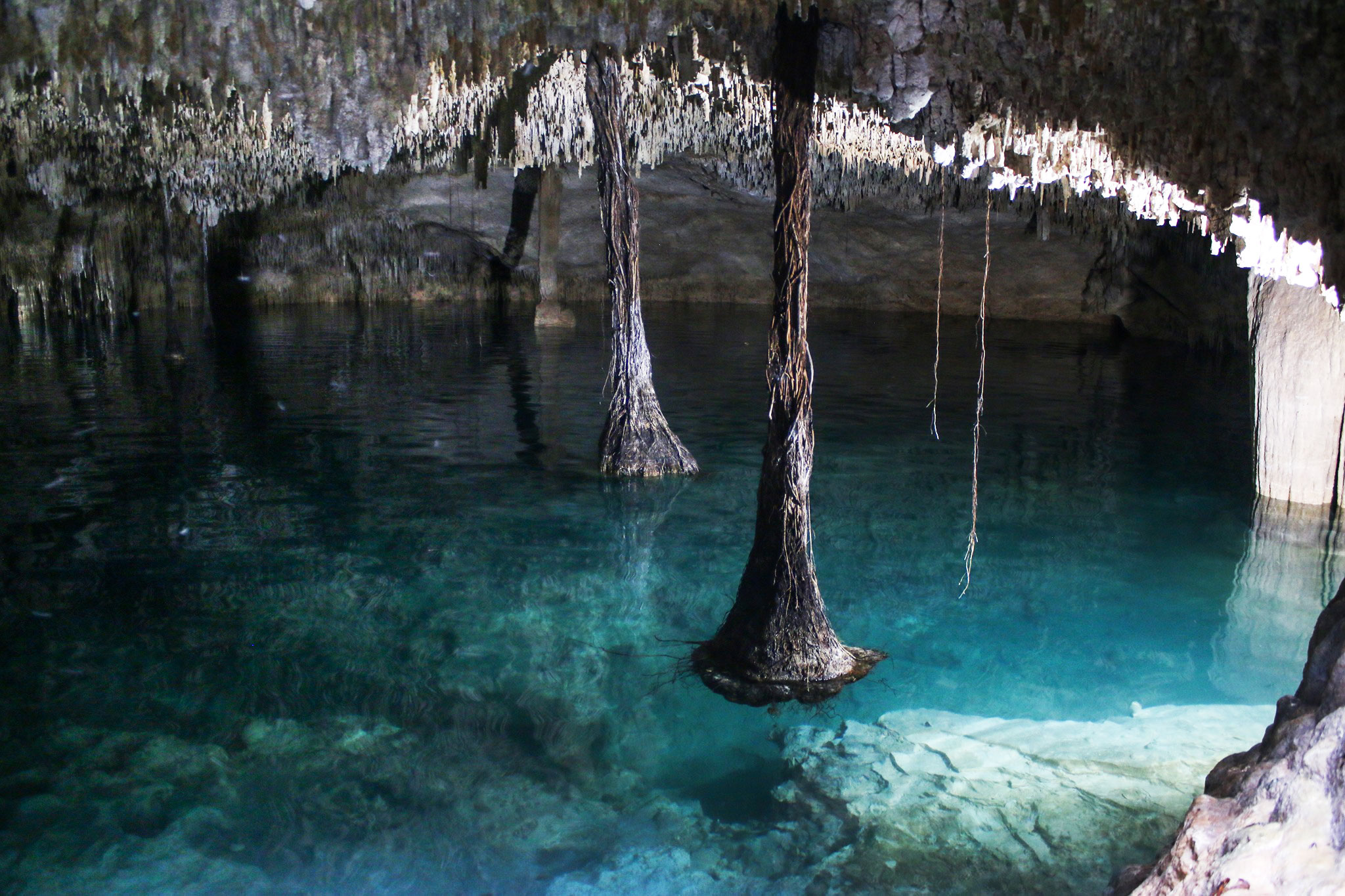 Cenote Zapote - Escapadas por México Desconocido