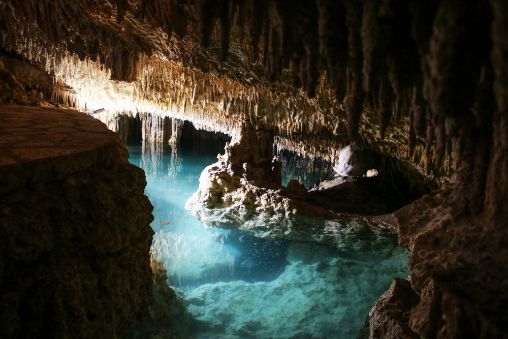 Cenote Zapote - Escapadas por México Desconocido