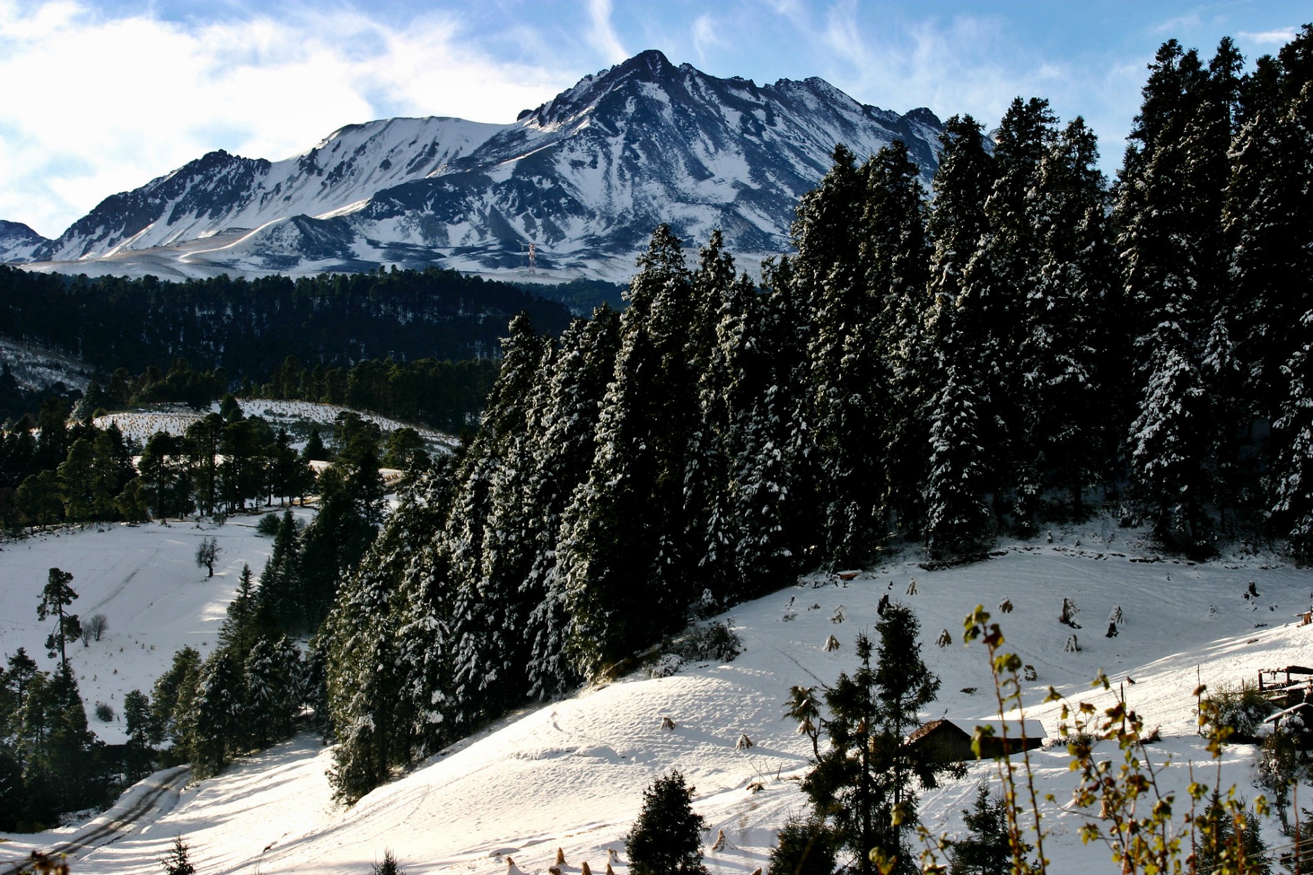 5 destinos imperdibles para conocer la nieve en México - Escapadas por ...