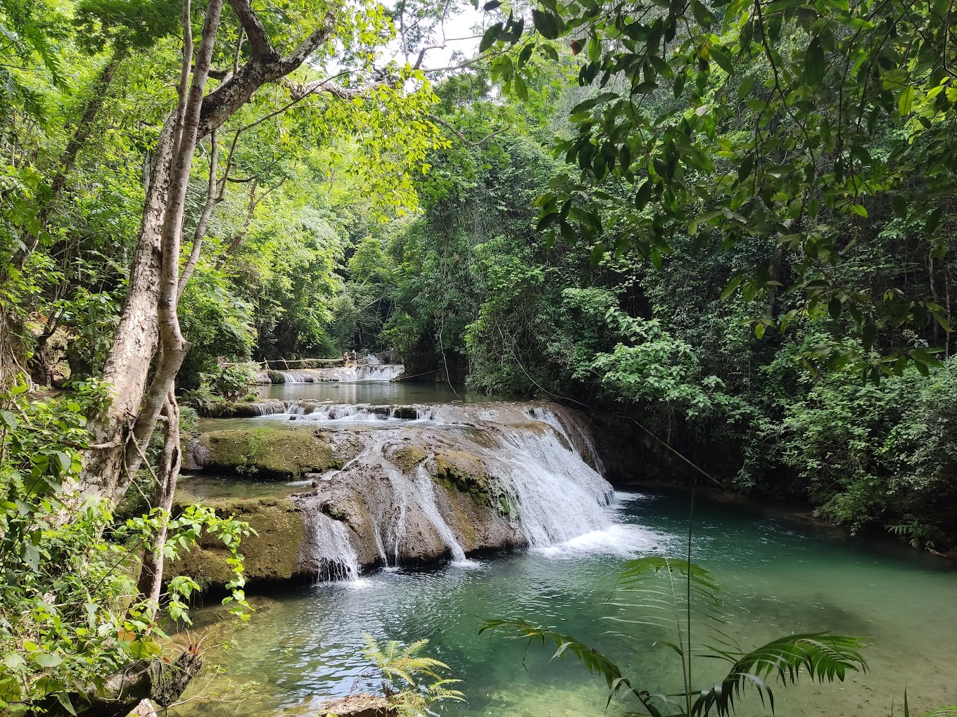 Las cascadas en México para tu bucket list de viaje - Escapadas por ...