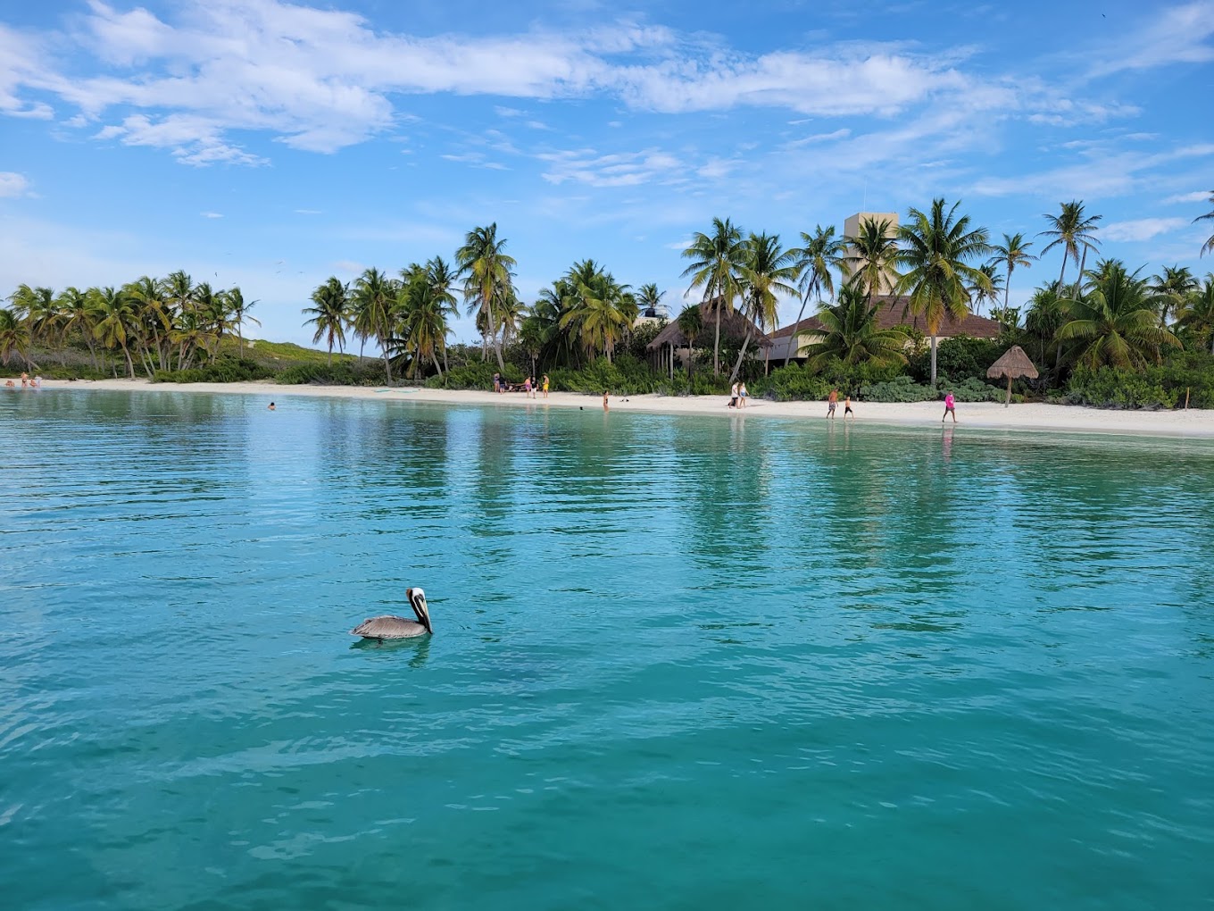 Isla Contoy, tips y consejos para visitar este paraíso - Escapadas por ...