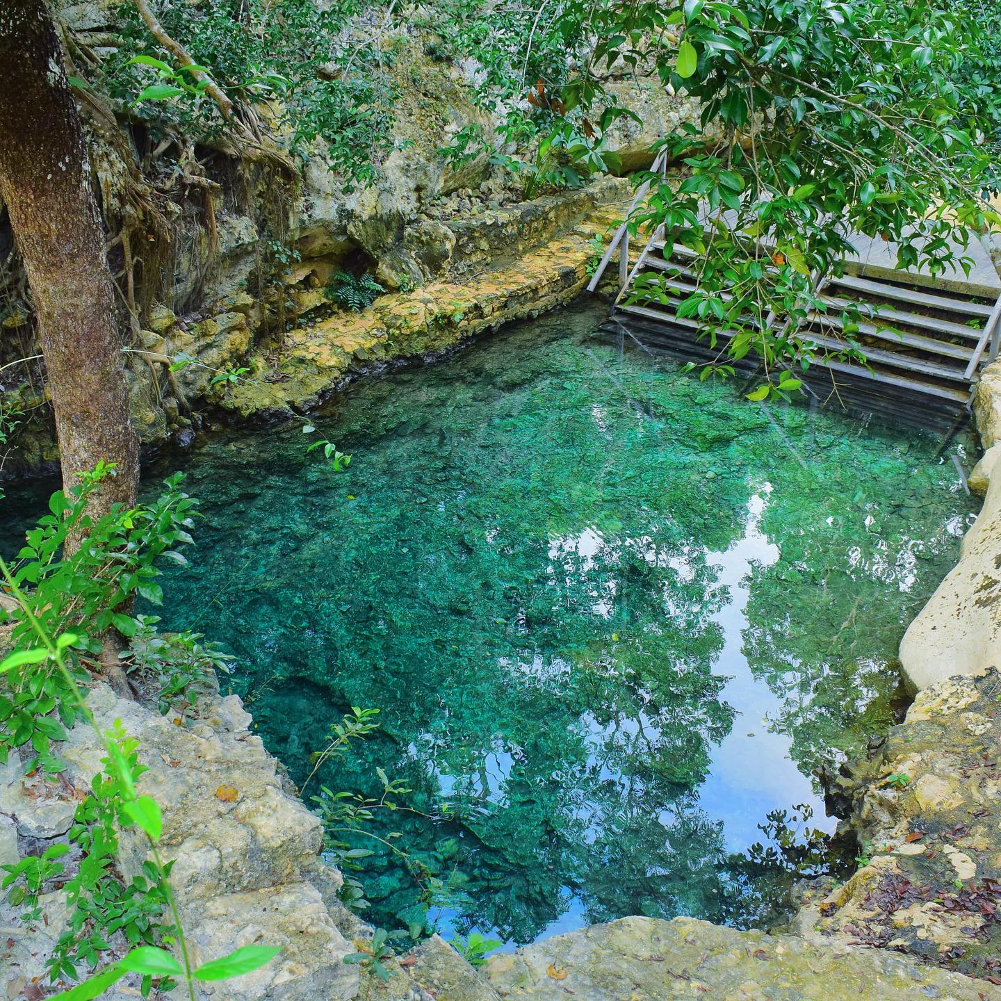 Cenote Yax Muul - Escapadas por México Desconocido
