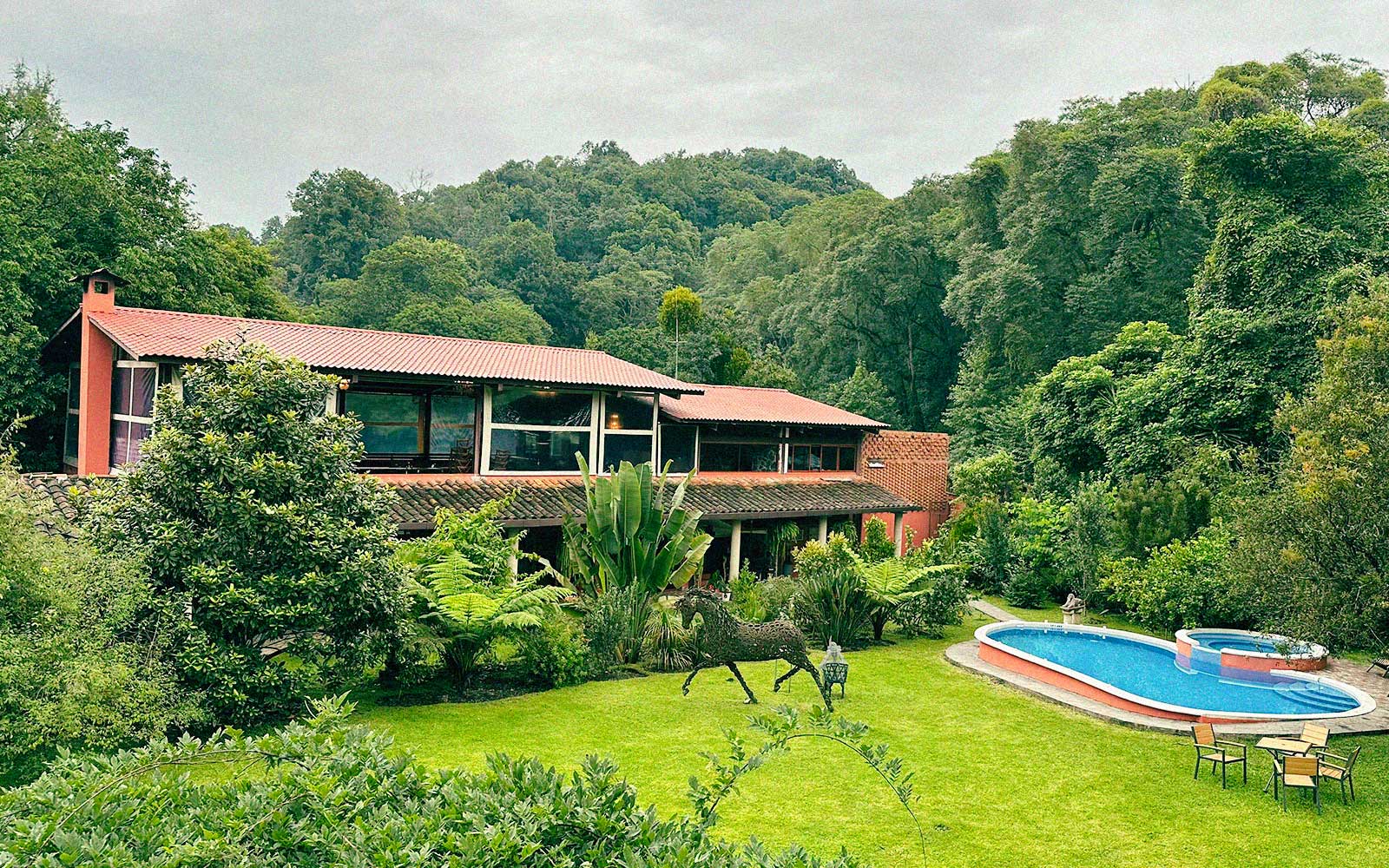 Finca La Niebla: un refugio en el bosque de niebla en Coatepec ...