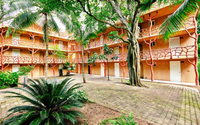 El Carrizal: aguas termales, descanso y aventura en Veracruz ...
