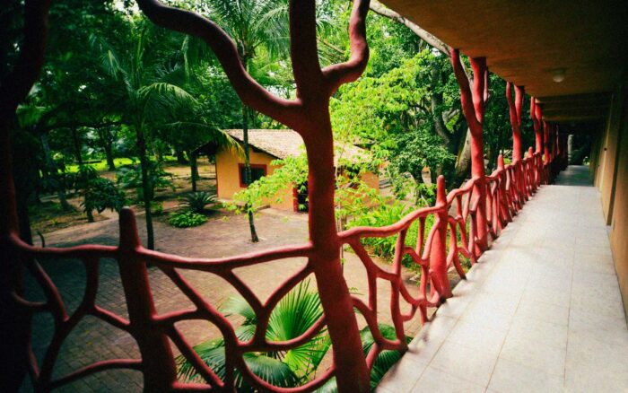 El Carrizal: aguas termales, descanso y aventura en Veracruz ...